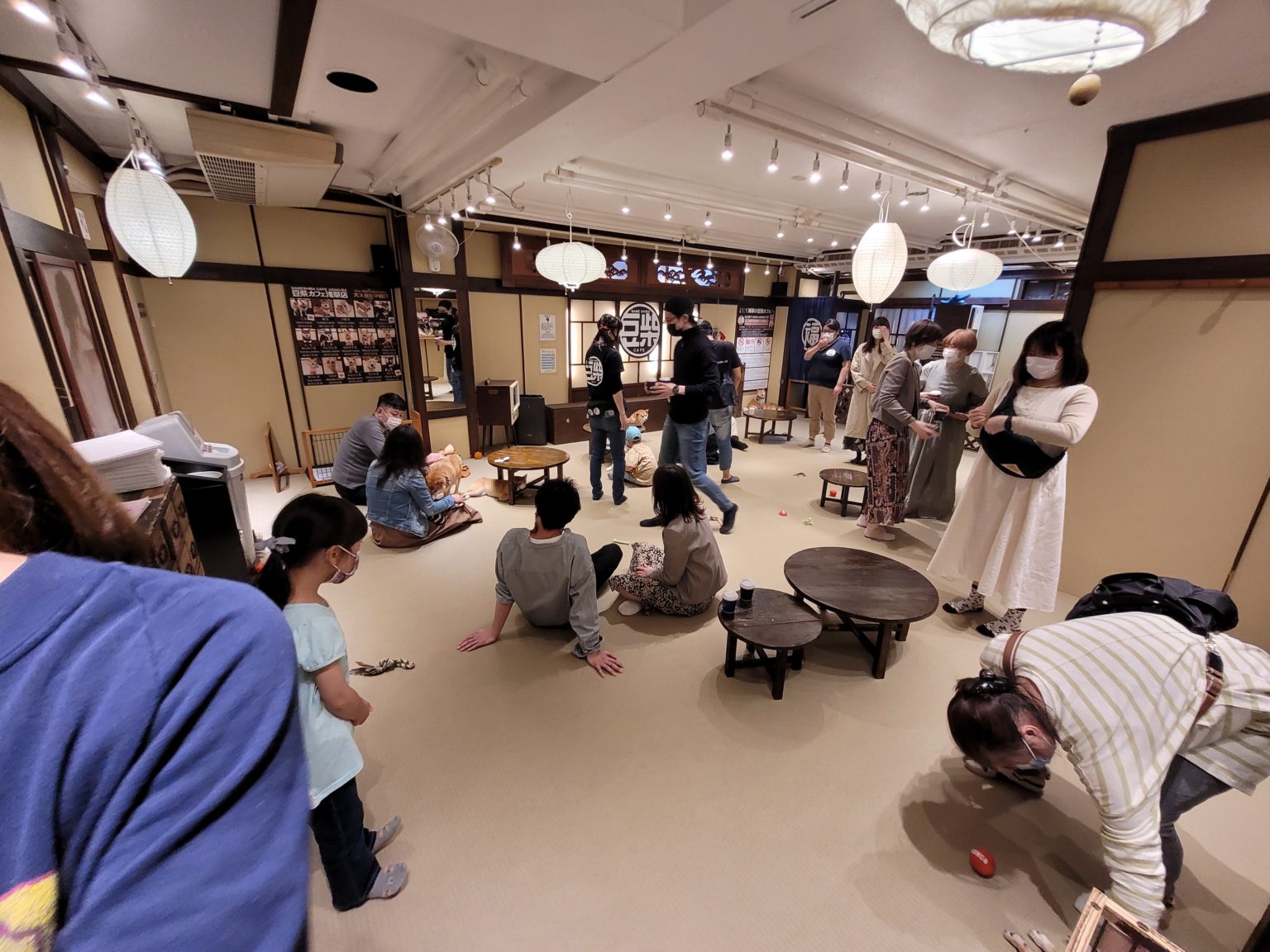 Mame Shiba Cafe in Asakusa | Real Japan Guide